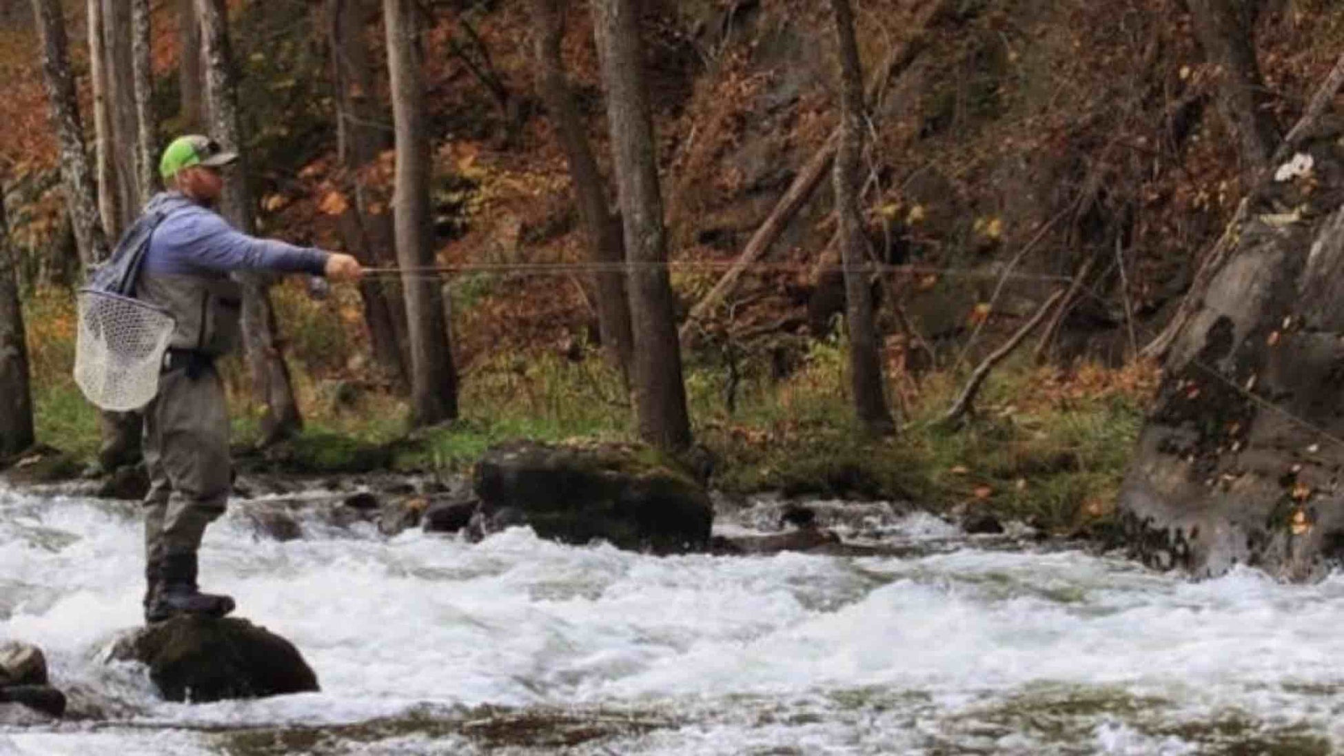 How to Start Fly Fishing: An Expert Fisherman Q&A – FlipFuel.co